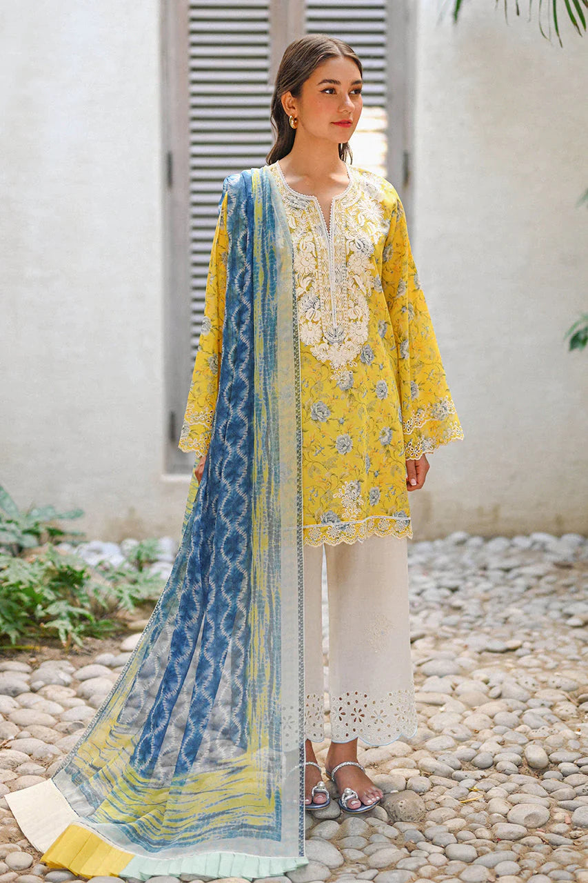 Vera (A) – Auraa Official