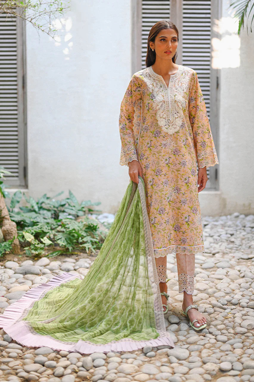 Vera (B) – Auraa Official